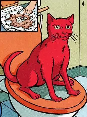 Foto №4 - Cómo enseñarle un gato al baño.