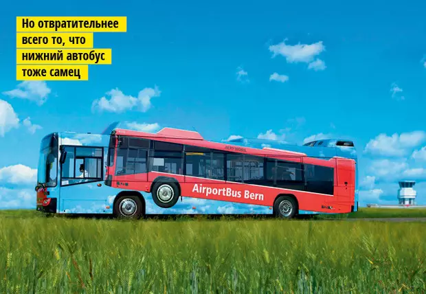写真番号7 - 車両だけでなく：12バス上の機知豊富な広告の例