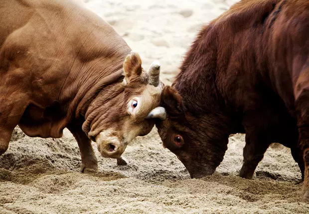 Foto №1 - Deixe as bulling estourando mais! Por que os homens gostam de zombar um ao outro