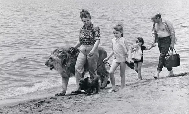 Fotografija številka 9 - velika domača mačka: kako je človeštvo poskušalo ukrotiti velike mačke