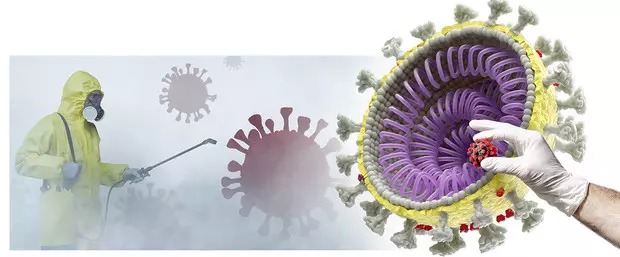 Ifoto №2 - Umudayimoni muto: Ni ayahe vinone zitandukanye na bagiteri, ingiri ya virophages, n'ukuri bivuye mu migani