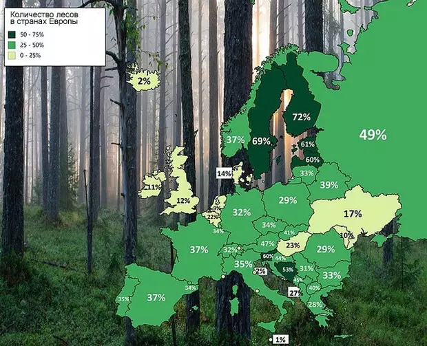 Photo №2 - Karte: Wie viele Prozent des Territoriums befinden sich Wälder in Europa und Russland?