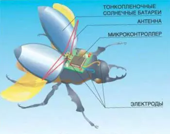 Foto №1 - Lätt: Känna igen Beetle-Cyborg