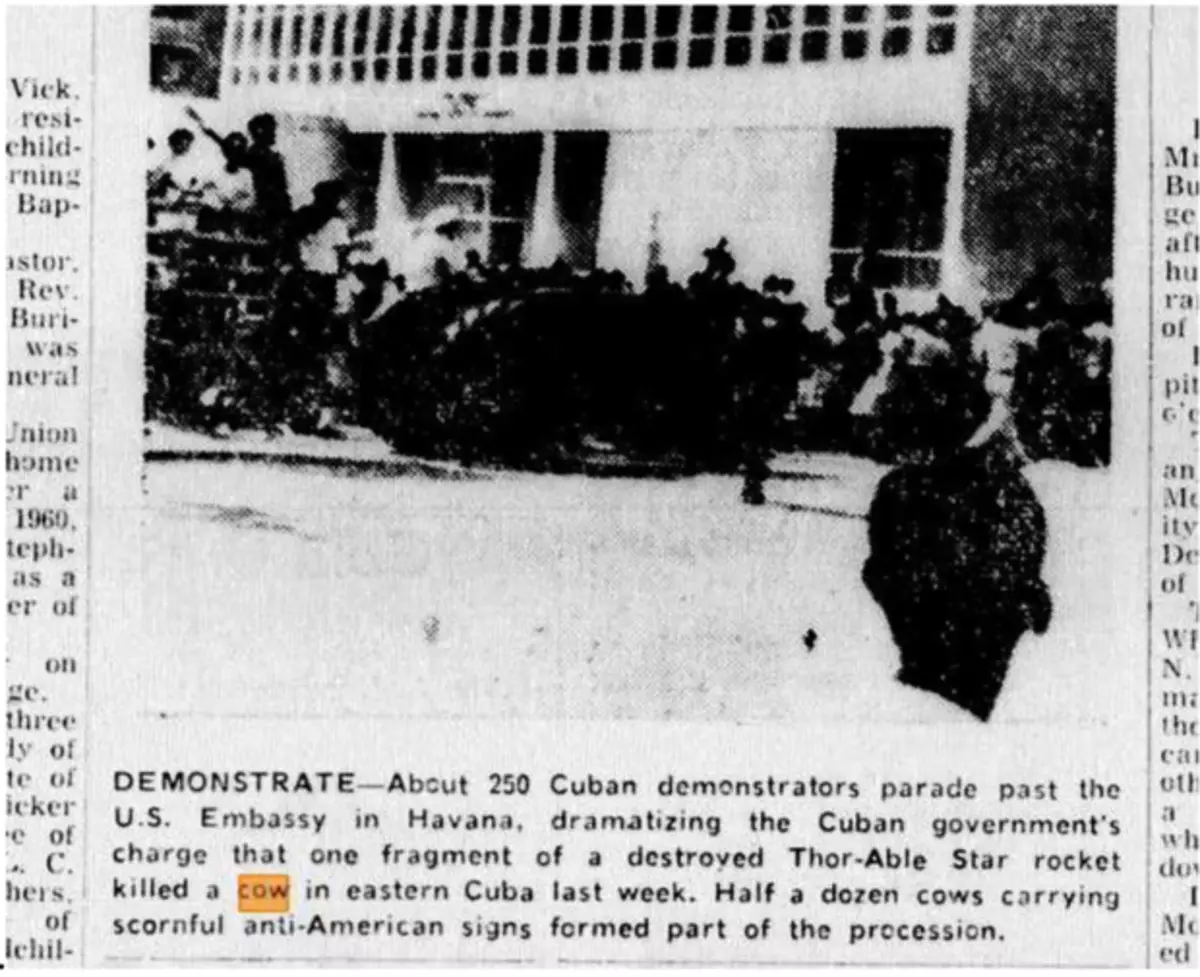 عکس شماره 2 - همانطور که آمریکایی ها یک گاو کوبا را در خرابکاری یک موشک فضایی کشتند