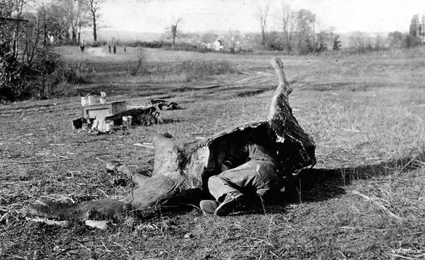 Photo №1 - The horse lies - it is impossible to eat: like french snipers used horses