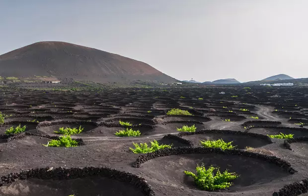 Imaxe №2 - Idea para unhas vacacións estrañas: Lanzarote Island, España