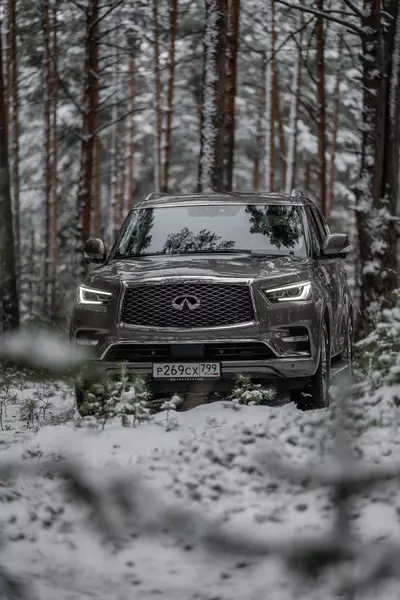 Infiniti Qx80: vaqt mashinasi bo'lmagan vaqt mashina 119173_18