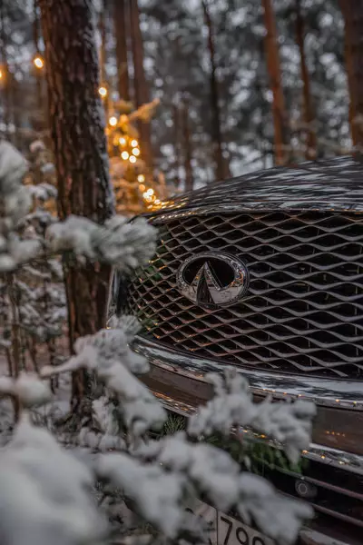 Infiniti QX80: időgép időtartam nélkül 119173_20