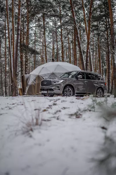 Infiniti QX80: időgép időtartam nélkül 119173_24