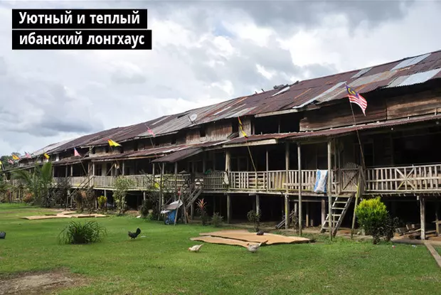 Ugodan i topao Ibansky Longhaus