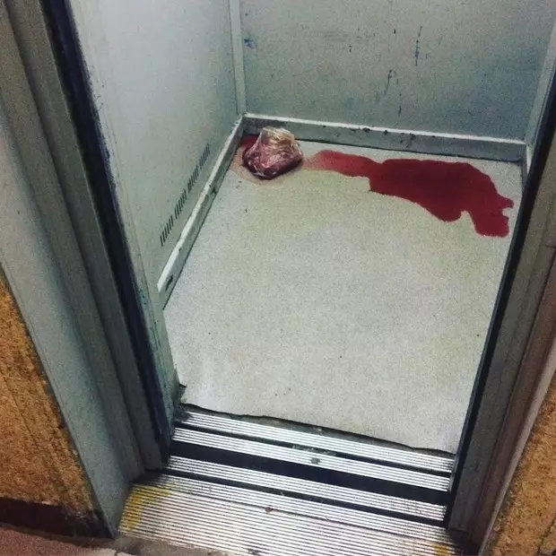 Photo №2 - La fille a découvert un objet terrible dans l'ascenseur de sa maison