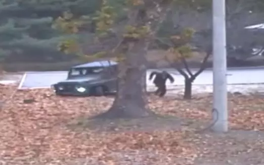 Foto №1 - Põhja-Korea sõjavägi Muster jookseb Lõuna-Korea ja see näeb välja nagu spioon võitleja