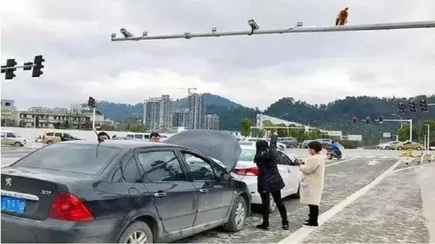 Fotografovanie №2 - najzábavnejšiu dopravnú nehodu: motorista prijal zadnú časť opice na červené svetlo semafor - a dal brzdy!