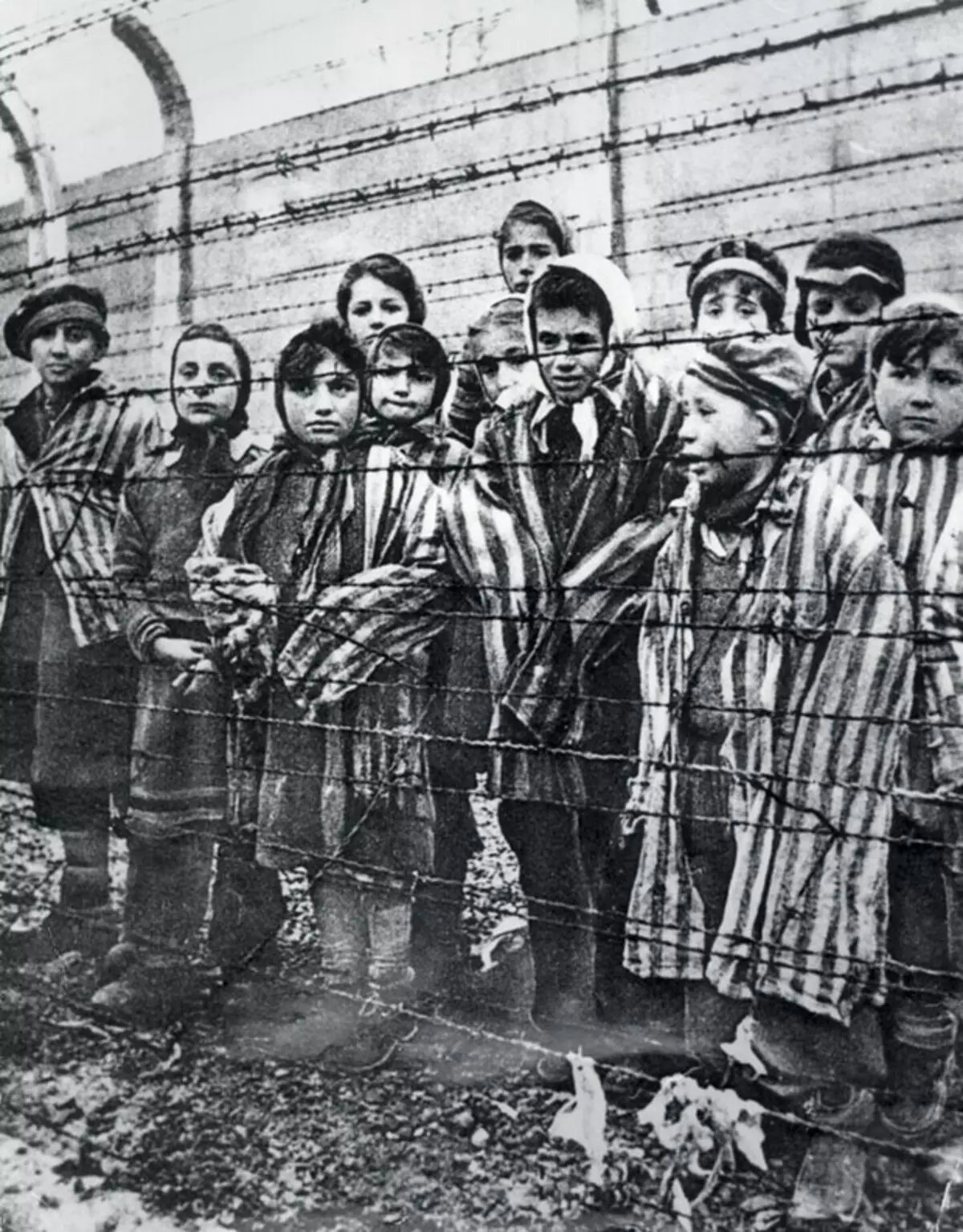 Yara a Auschwitz