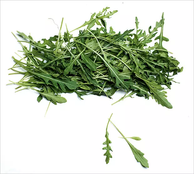 Rucola