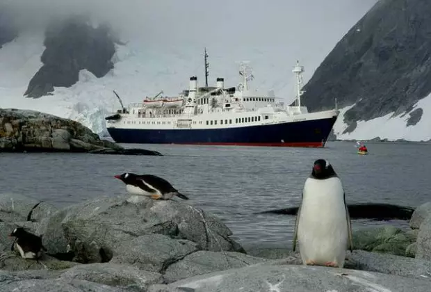 Fotoğraf №3 - Antarktika hakkında 25 gerçekler