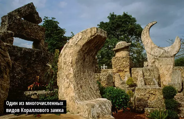 One of the numerous types of coral castle