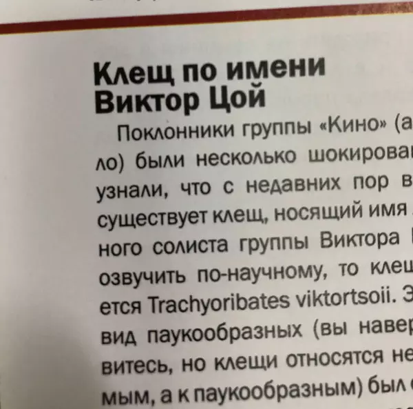 Флешмоб парадоксальних скріншотів, з якими незрозуміло що робити 143561_7