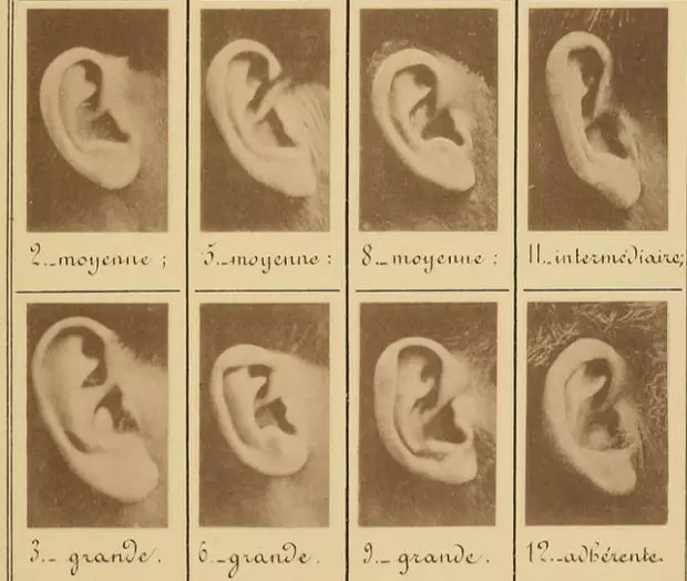 Φωτογραφία №1 - 96 αυτιά γαλλικών εγκληματιών του XIX αιώνα