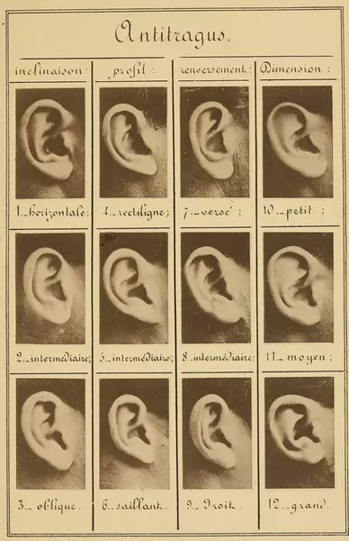 96個XIX世紀法國罪犯的耳朵 145345_5