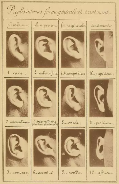 XIX yüzyılın Fransız suçlularının 96 kulakları 145345_6