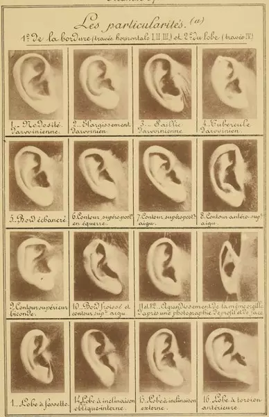 96 telinga penjahat Prancis abad XIX 145345_8