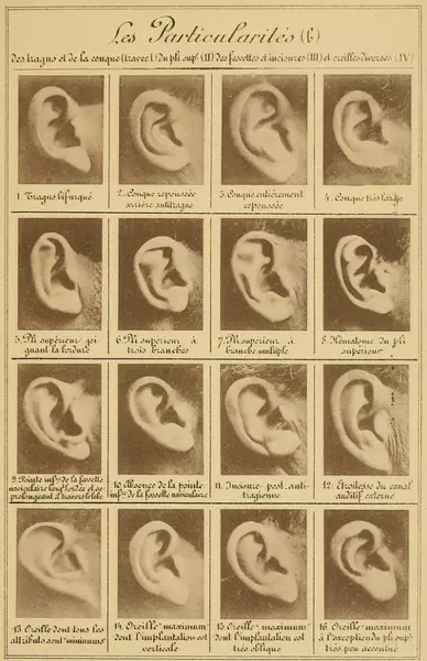 96 telinga penjenayah Perancis abad XIX 145345_9