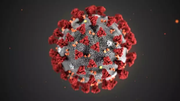 Photo №1 - Un site est apparu qui apprécierait que vos chances de mourir de coronavirus