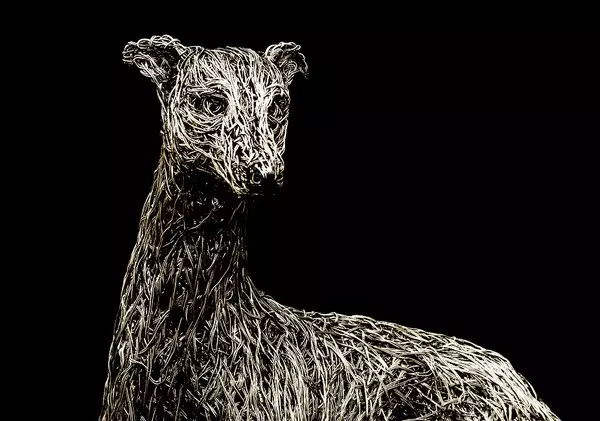 Angļu valoda padara neticami reālas skulptūras dzīvniekiem no stieples (galerija) 14828_3