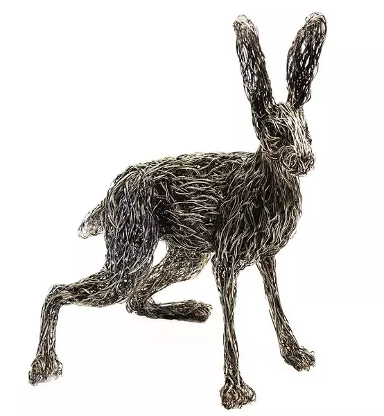 Angļu valoda padara neticami reālas skulptūras dzīvniekiem no stieples (galerija) 14828_4