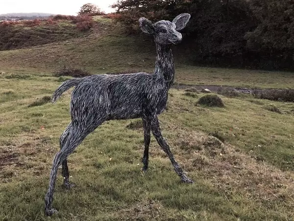 An Englishwoman makes incredibly realistic sculptures of animals from wire (gallery) 14828_8