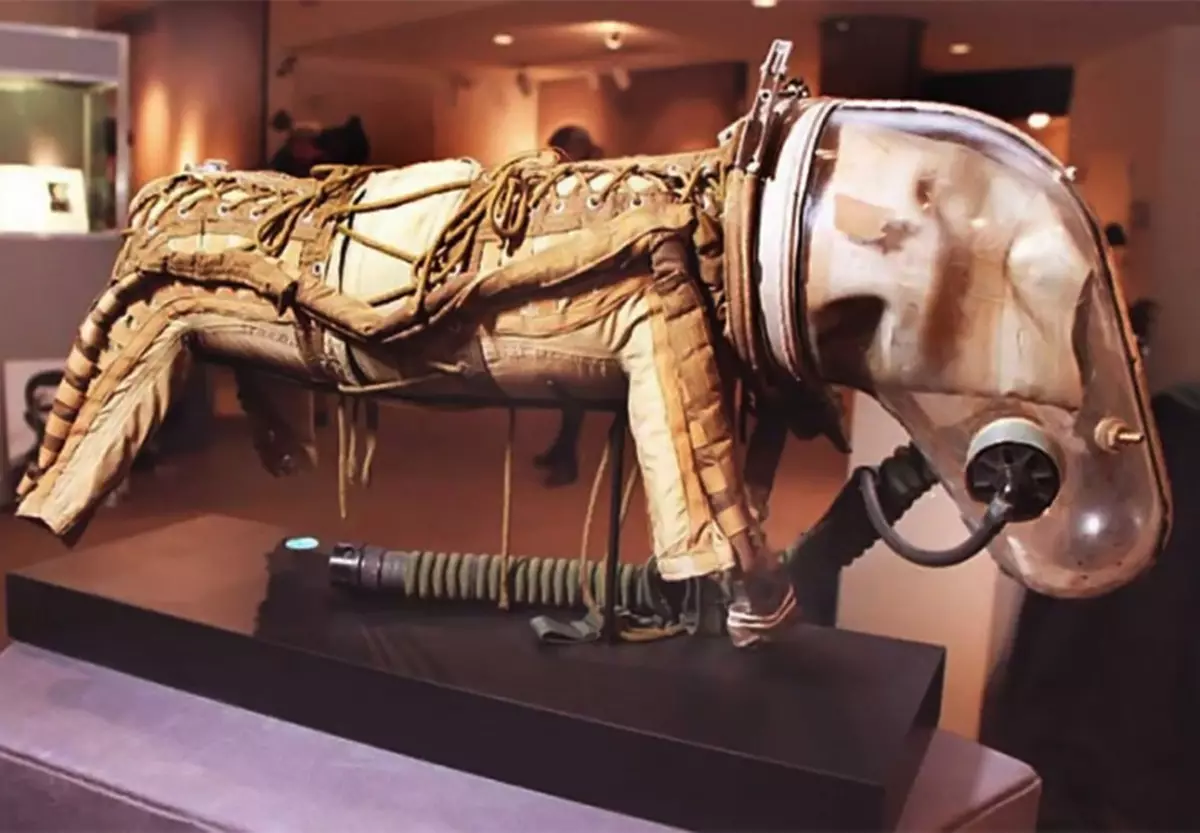 Ciò che indossavamo i cani sovietici nello spazio: quegli scoiattoli e frecce più pattinatori