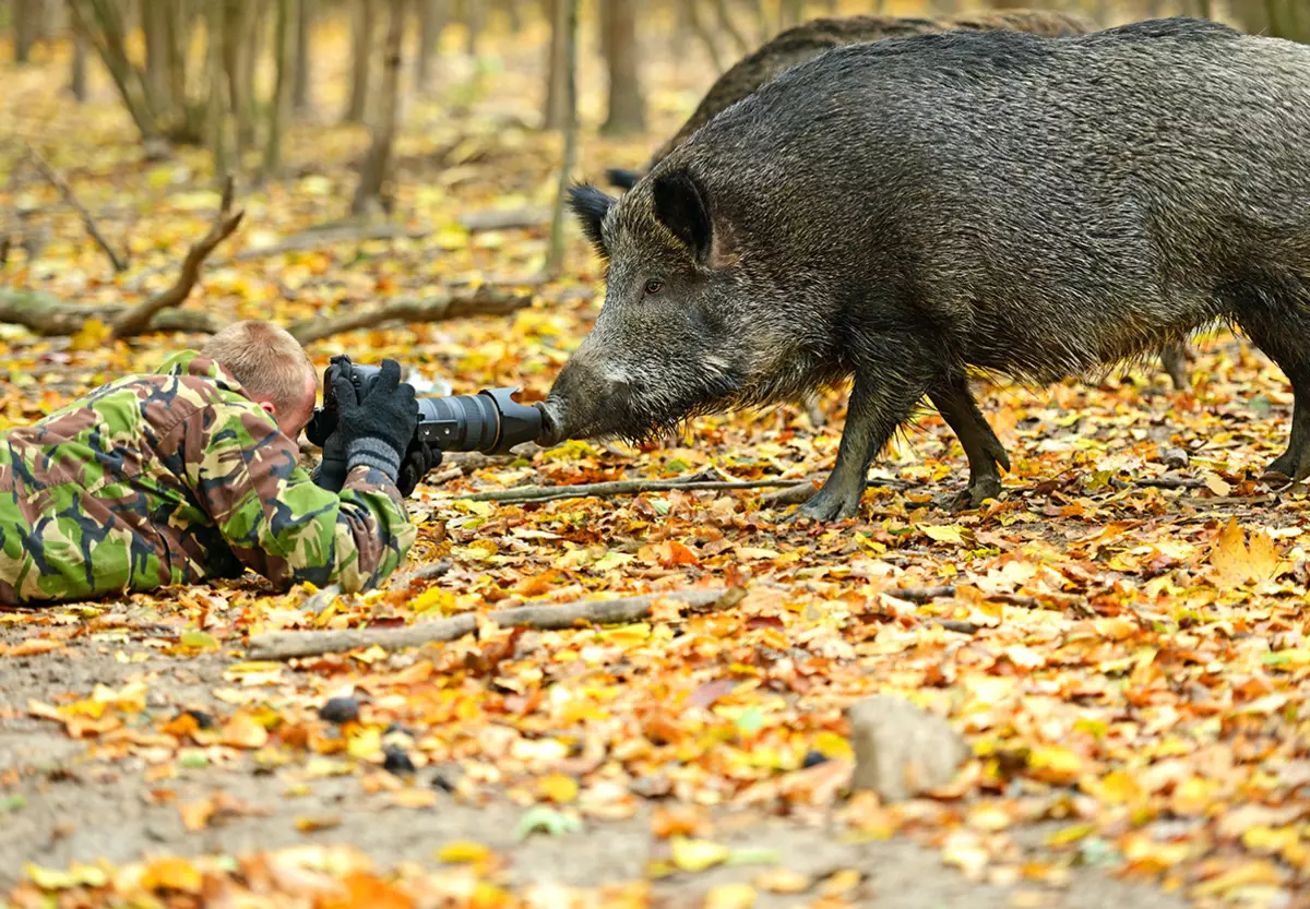 Tři způsoby, jak lovit bez obětí