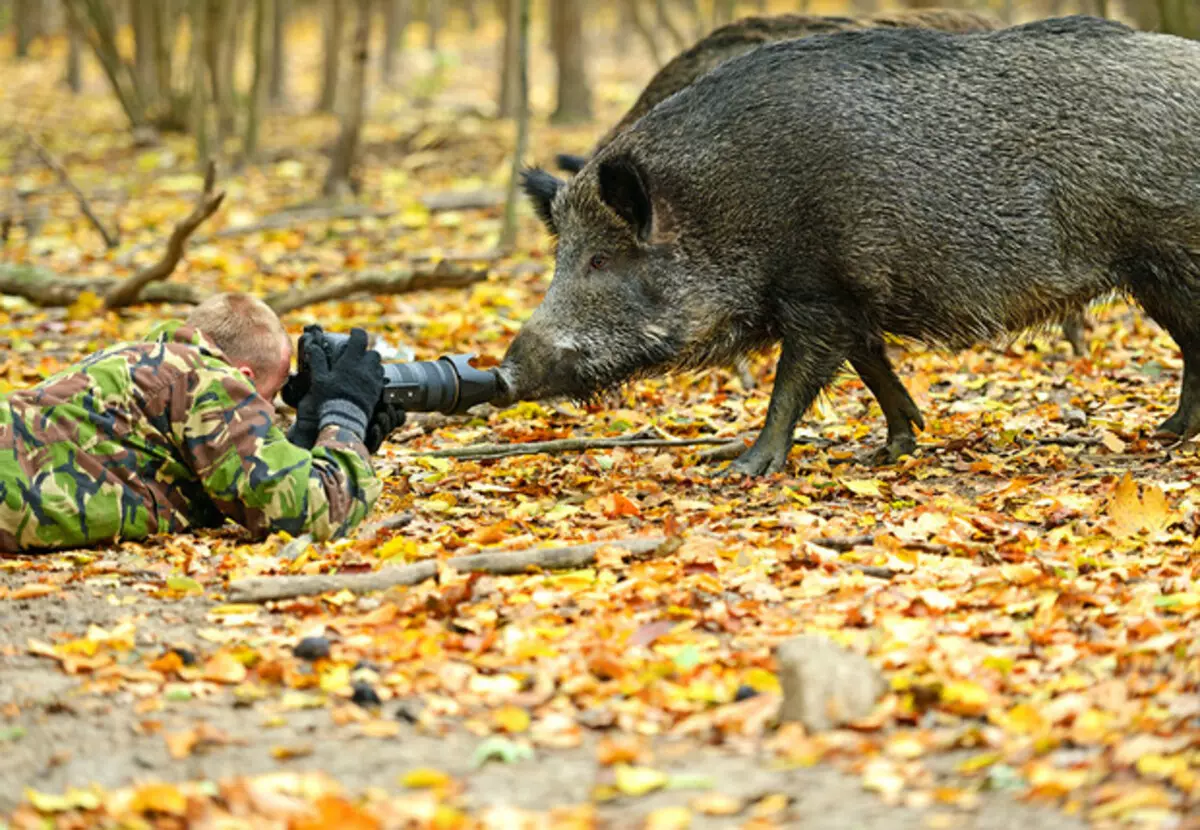 Fotografie №1 - tři způsoby, jak lovit bez obětí