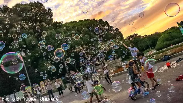 japanese flashmob : 