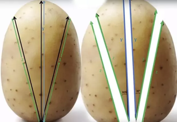 Foto číslo 2 - Ako rezať zemiaky, aby ste získali dokonalú chrumkavú kožušinu (matematická metóda)