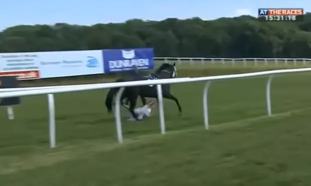 Photo №1 - Hest kastet av jockey og løp gjennom en journalist! Video