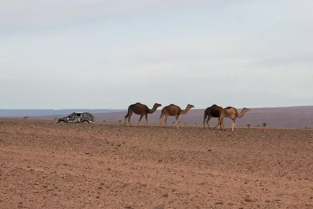 PHOTO №17 - RENAULT DUSTER: Do you throw up to the Sahara?