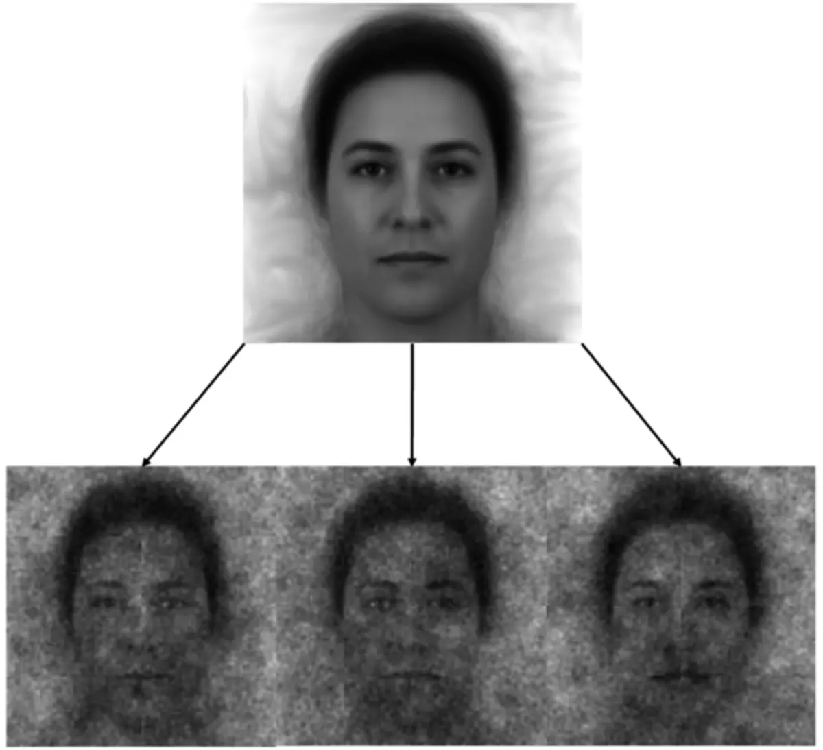 写真№2 - サンサン聖人！科学者たちは神のフォトロボートを作った！