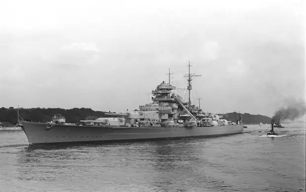 বিড়াল প্রথম কর্মক্ষেত্রে - Bismarck Battleship