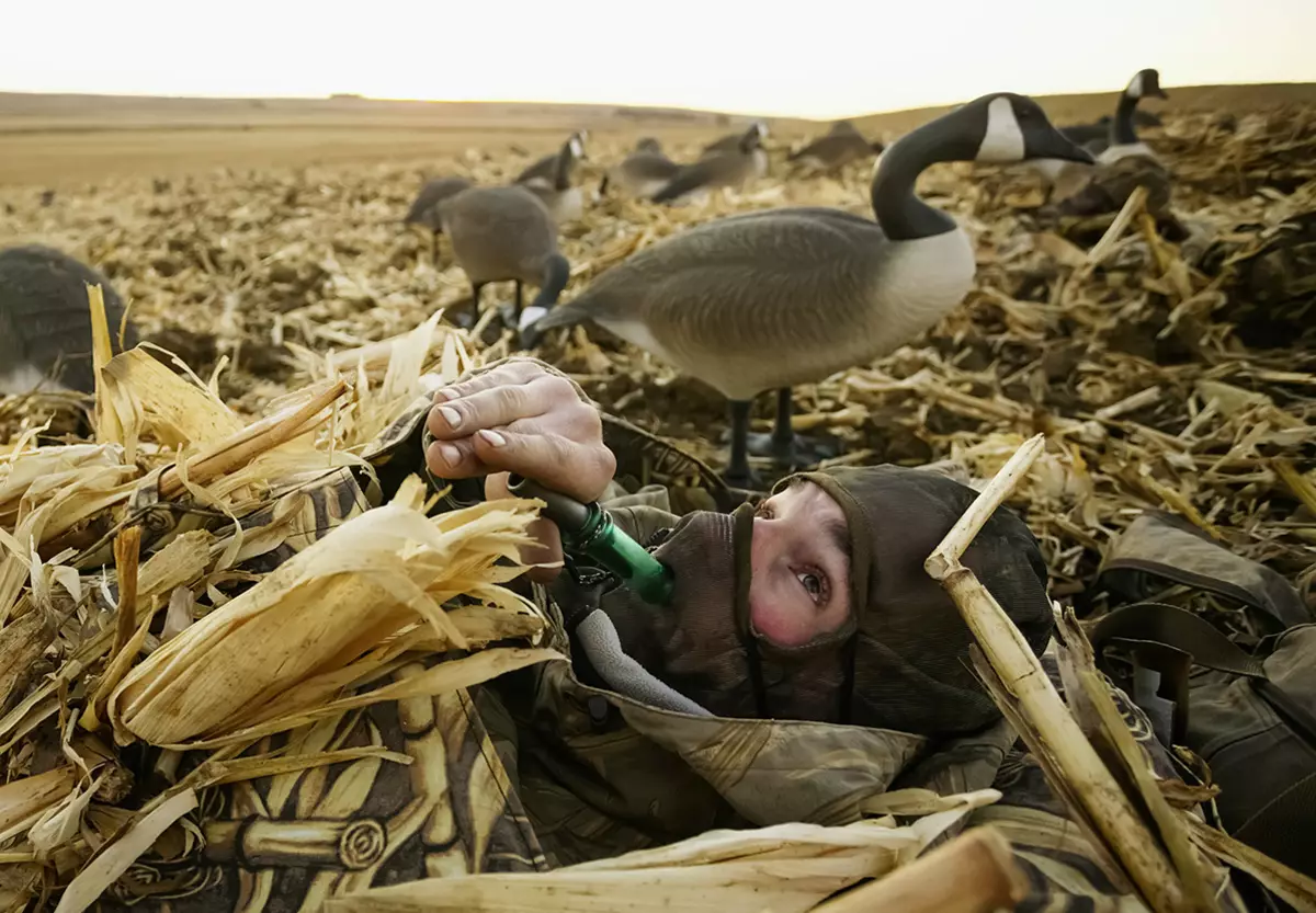 Ako lákať zviera, aby urobil fotografiu