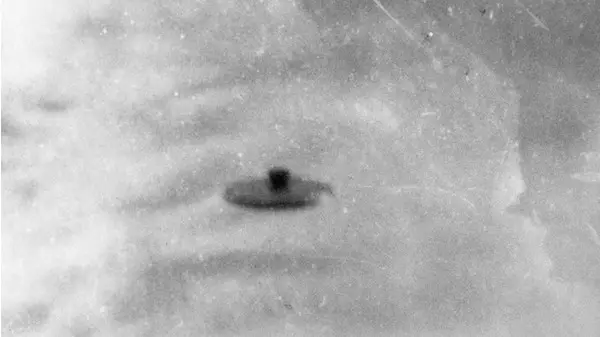 Mit jelentettek az UFO pillanatfelvételek a 