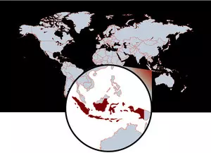 Lambarka Sawirka 3 - Sawiro Faahfaahin: Aagga Deganaanshaha ee saqafka sare ee xarunta dukaamaysiga ee Jakarta