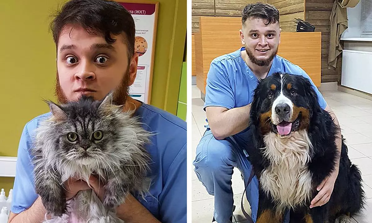 Veterinar u uralu bio je zainteresiran za životinje, koje je donio spavati. Dječji vrtić se žalio na njega u tužiteljstvo