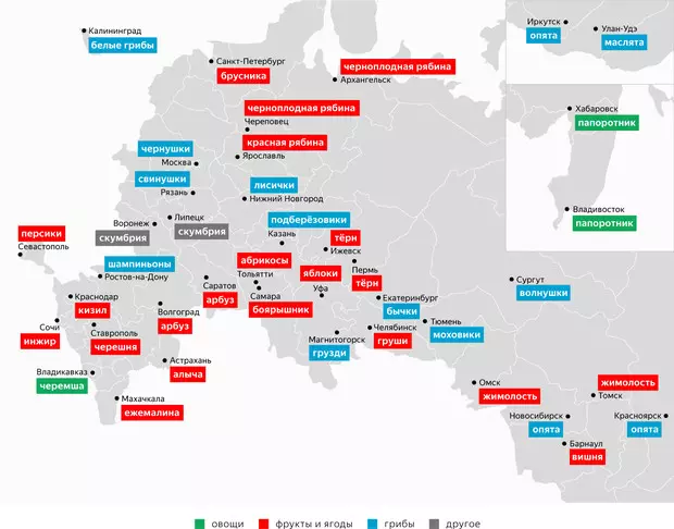 Litrato №4 - Si Yandex nagpahigayon usa ka pagtuon, nga giani sa mga produkto alang sa tingtugnaw sa lainlaing mga rehiyon sa Russia (Card)