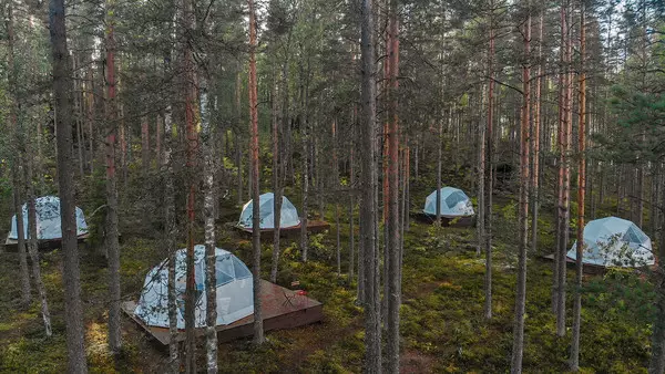 Gosh Kutsenko, Denis Simachev og andre stjerner Gå med Mamont Camp til ukendt Karelia 25643_6