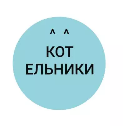 Беҳтарин фото ба Логои нав аз Санкт-Петербург барои ҳафт миллион рубл 27275_2