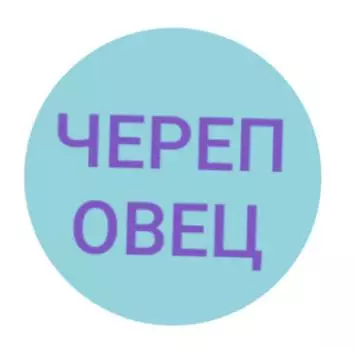 Беҳтарин фото ба Логои нав аз Санкт-Петербург барои ҳафт миллион рубл 27275_5