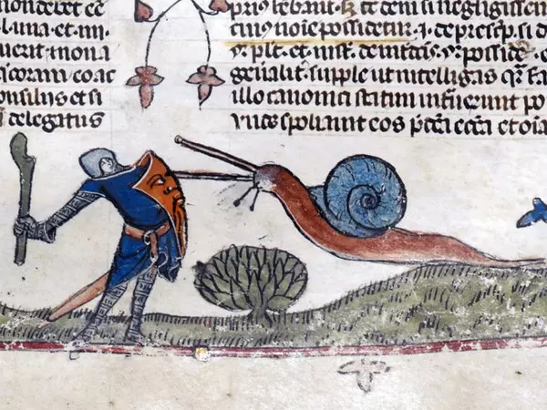 Pourquoi sur des images médiévales tant de chevaliers combattant avec des escargots 29712_2