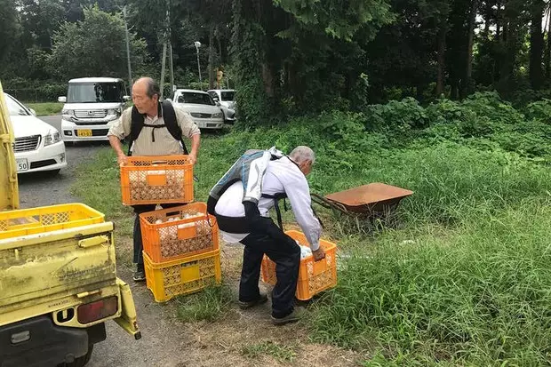 Foto №1 - I pensionati giapponesi usano gli esoscheletri per continuare a lavorare